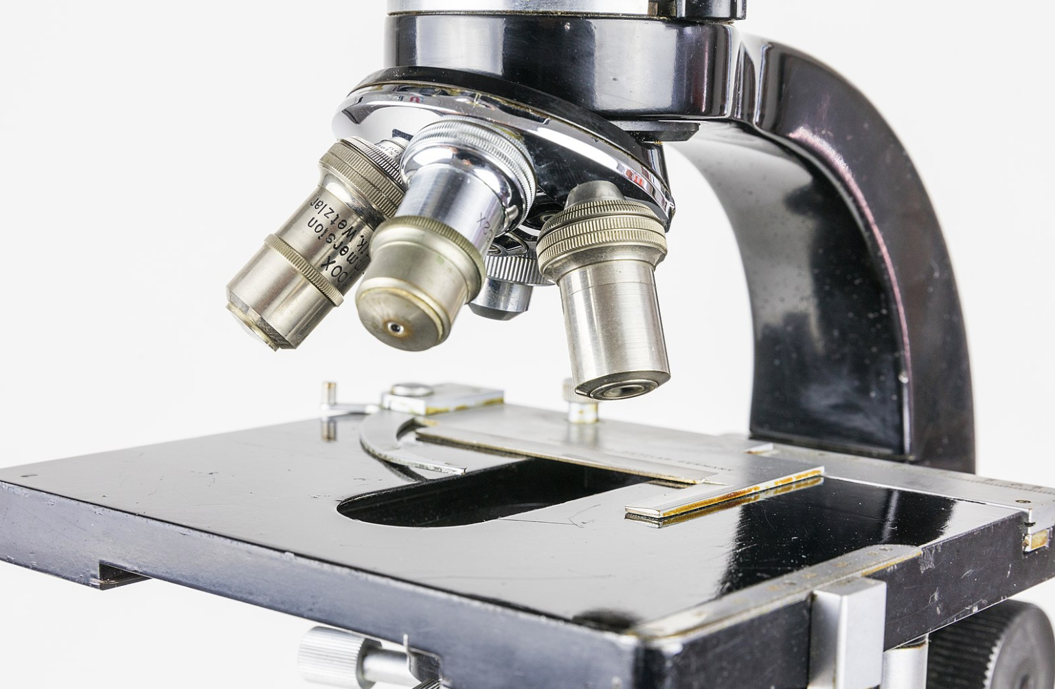 The Basic Types of Microscopes - MicroscopeStop.com