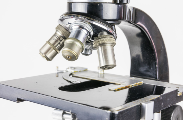 The Basic Types of Microscopes - MicroscopeStop.com