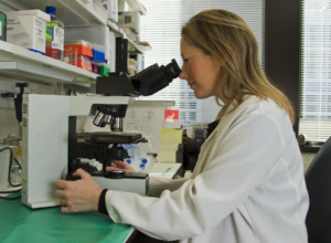 Pathology Microscopes 101 - MicroscopeStop.com