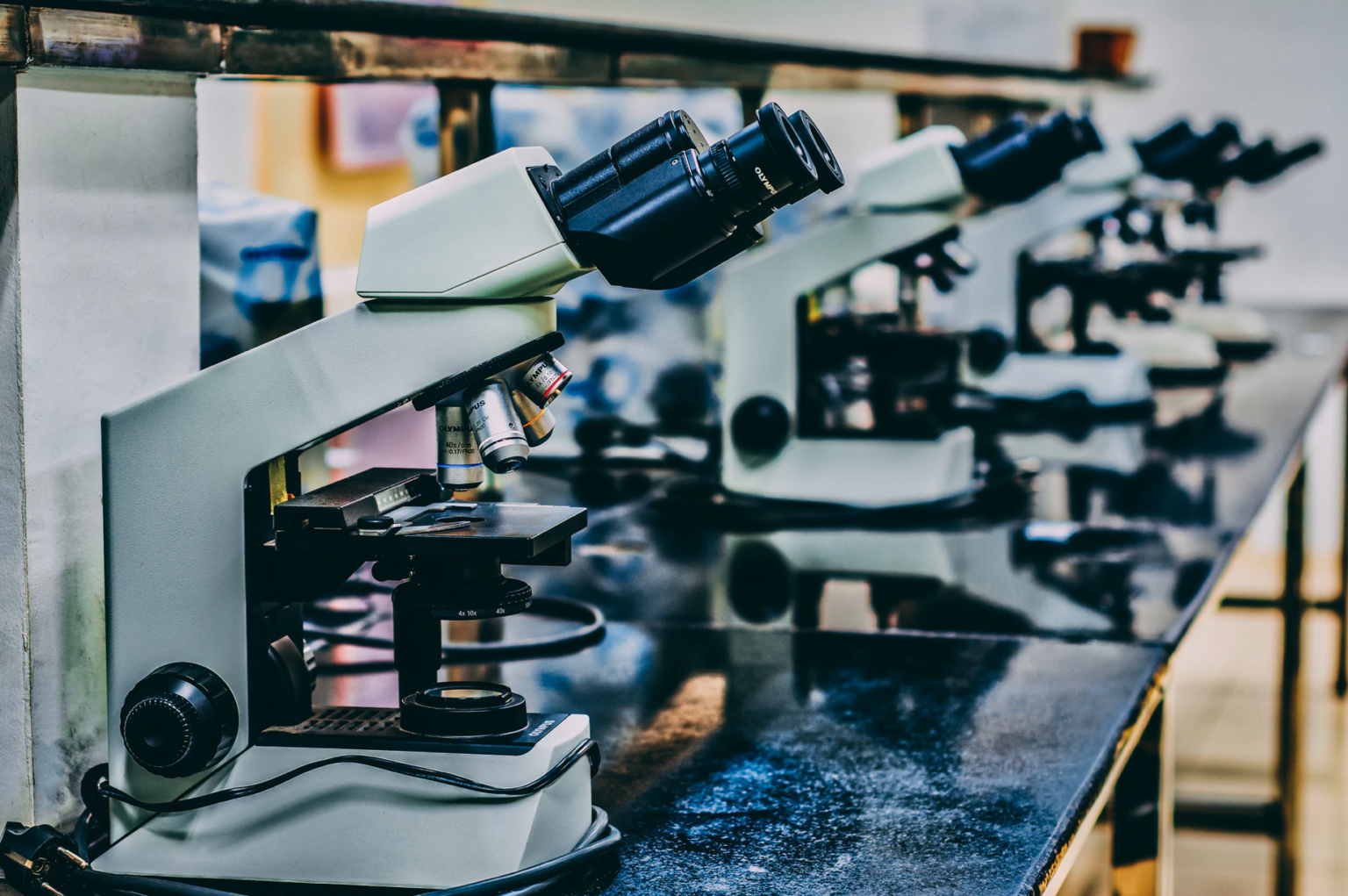 Best microscopes for the classroom | Microscopes that are great for school